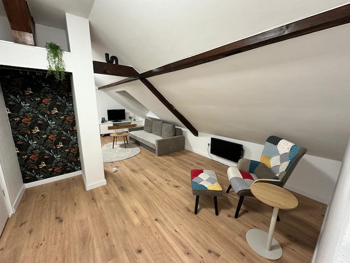 Haus Lilium-gemütliche Dachgeschosswohnung - Freudenstadt