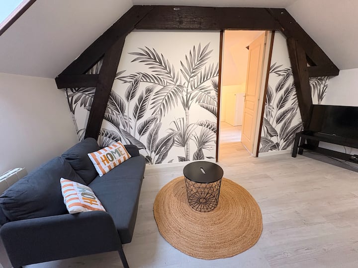 Joli T2 Cosy Et Rénové - Centre Vierzon - Vierzon