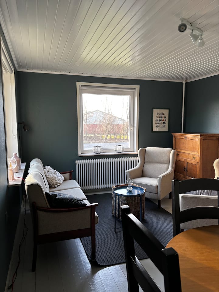 Klein Teeselink Guesthouse - Ribe