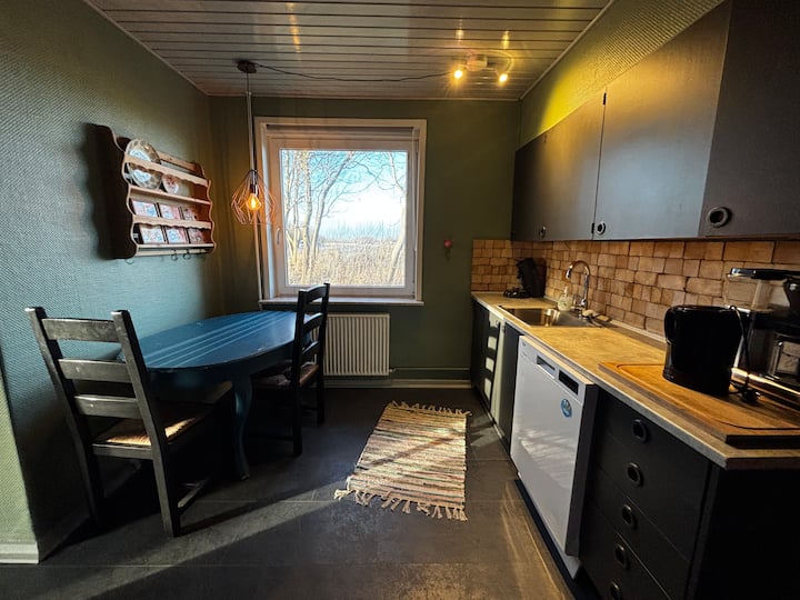 Klein Teeselink Guesthouse - Ribe