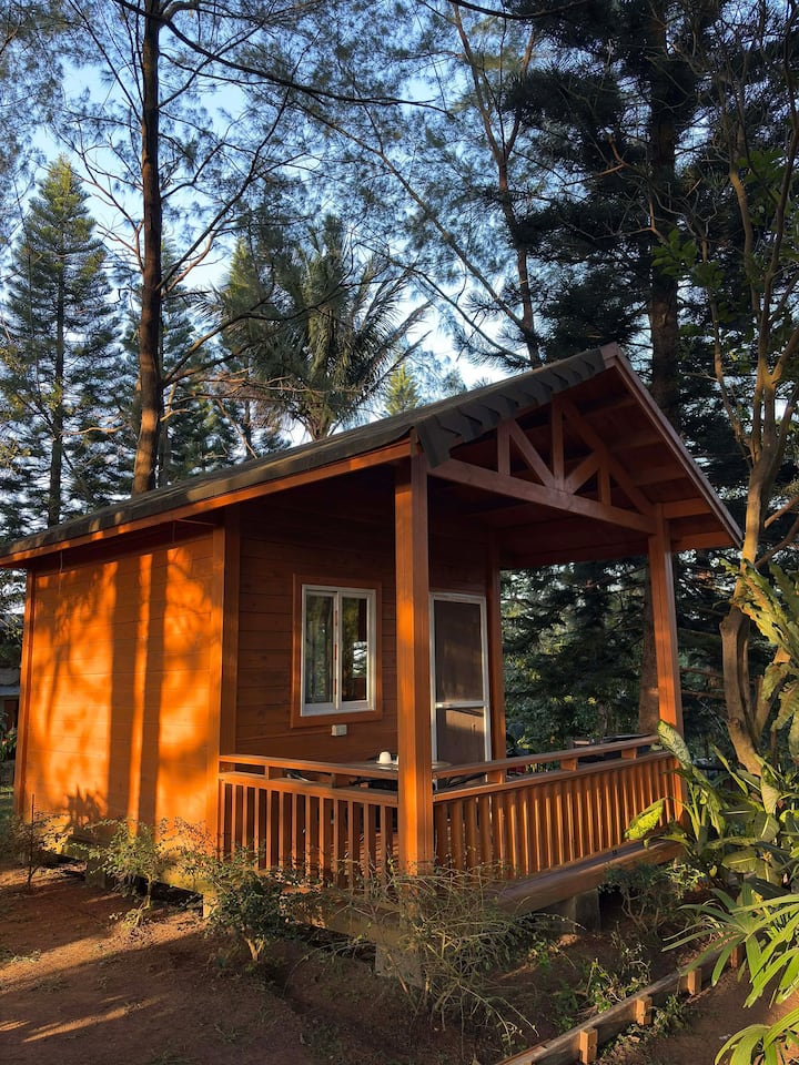 Alfonso Cabinscape 1 Near Twin Lakes - Alfonso