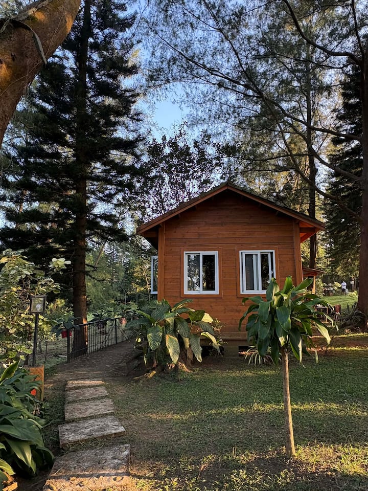 Alfonso Cabinscape 3 Near Twin Lakes - Alfonso