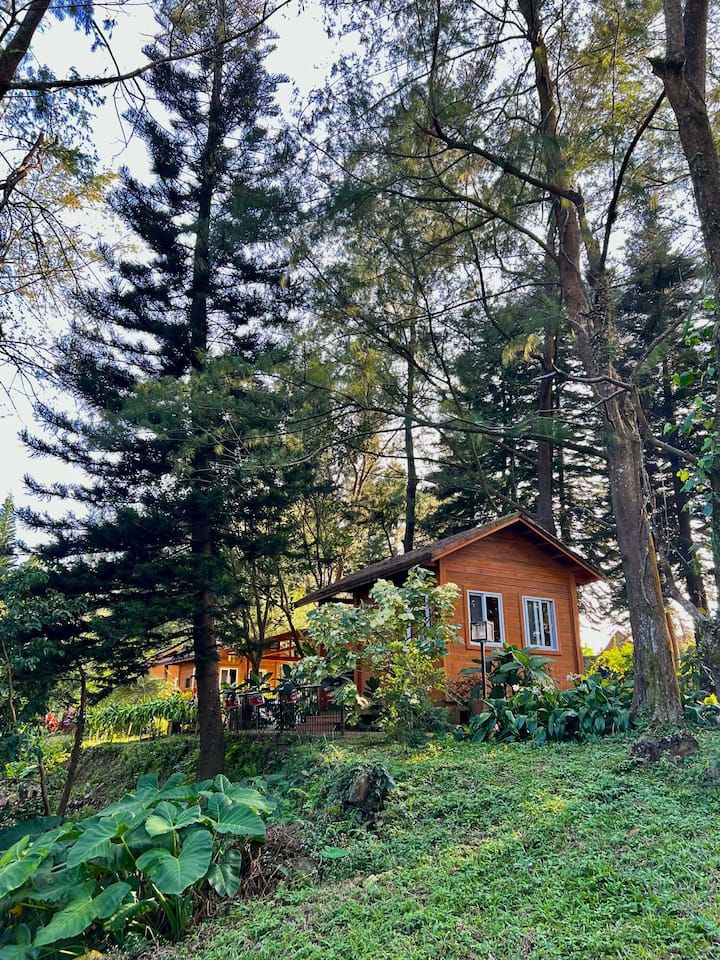 Alfonso Cabinscape 2 Near Twin Lakes - Alfonso