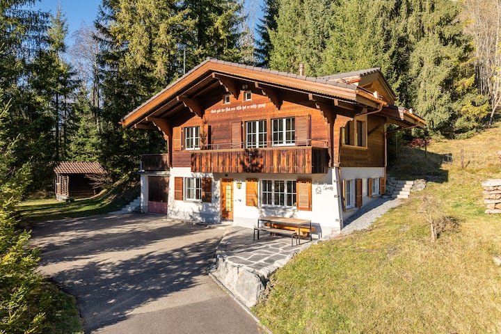 Chalet Spatz | Gesamtes Chalet Mit Sauna&cheminée - Frutigen