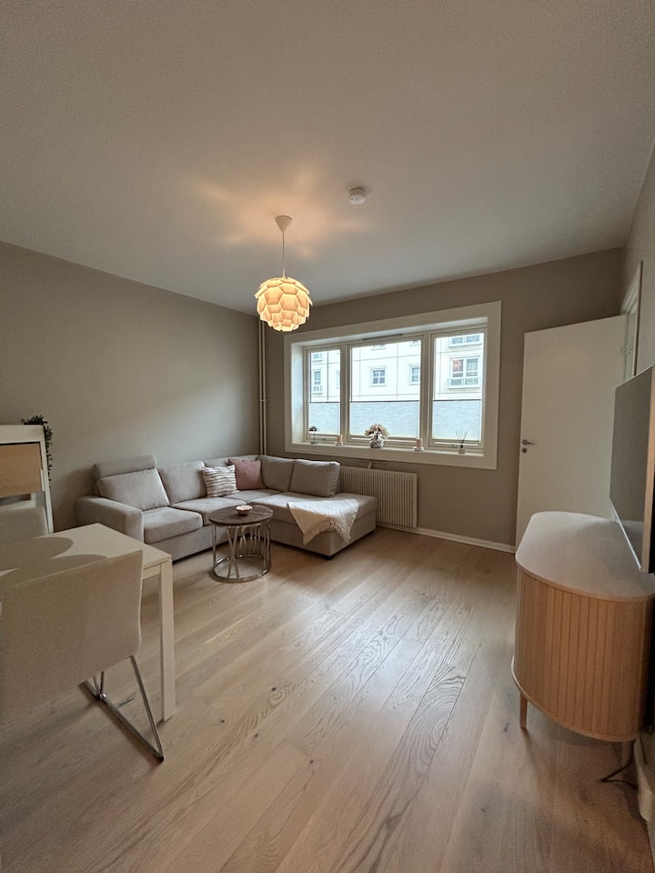 Koselig Og Sentral Leilighet I Oslo - Oslo