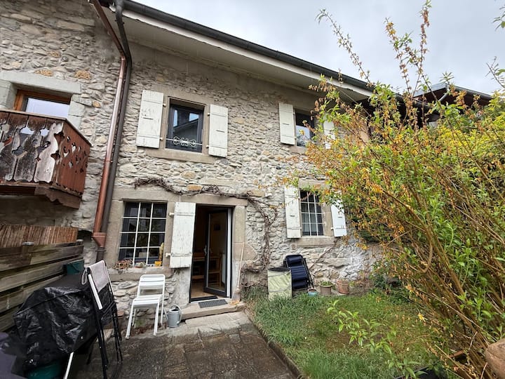 Maison Spacieuse Gaillard Jardin Douane Fossard - Carouge