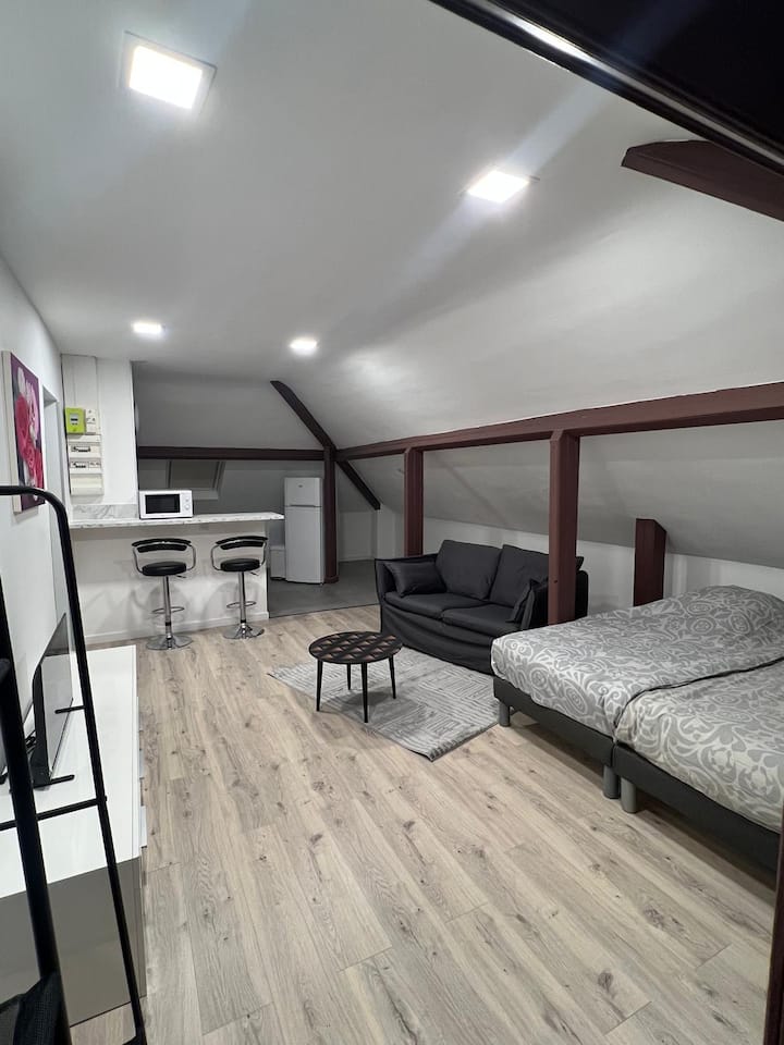 Charmant Et Spacieux Studio - Épinay-sur-Seine