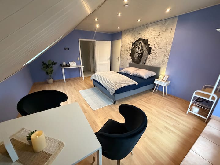 Helles Dachstudio Mit Südbalkon Nahe Kassel - Kaufungen