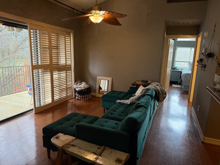 Cute Condo In The Heart Of The Woodlands - The Woodlands, TX