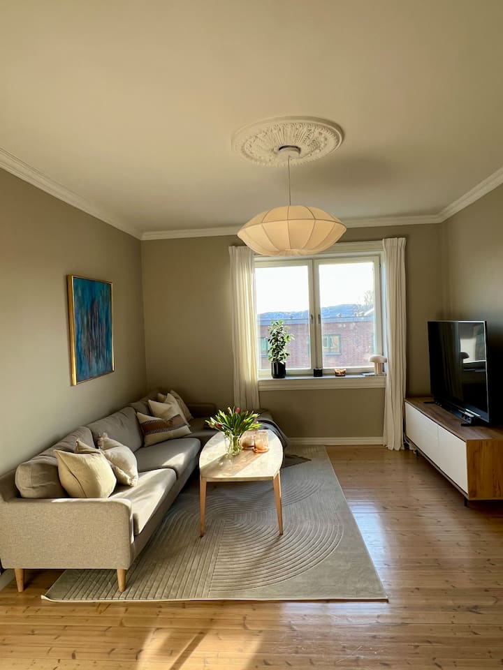 Koselig Leilighet Nær St.hanshaugen! - Oslo