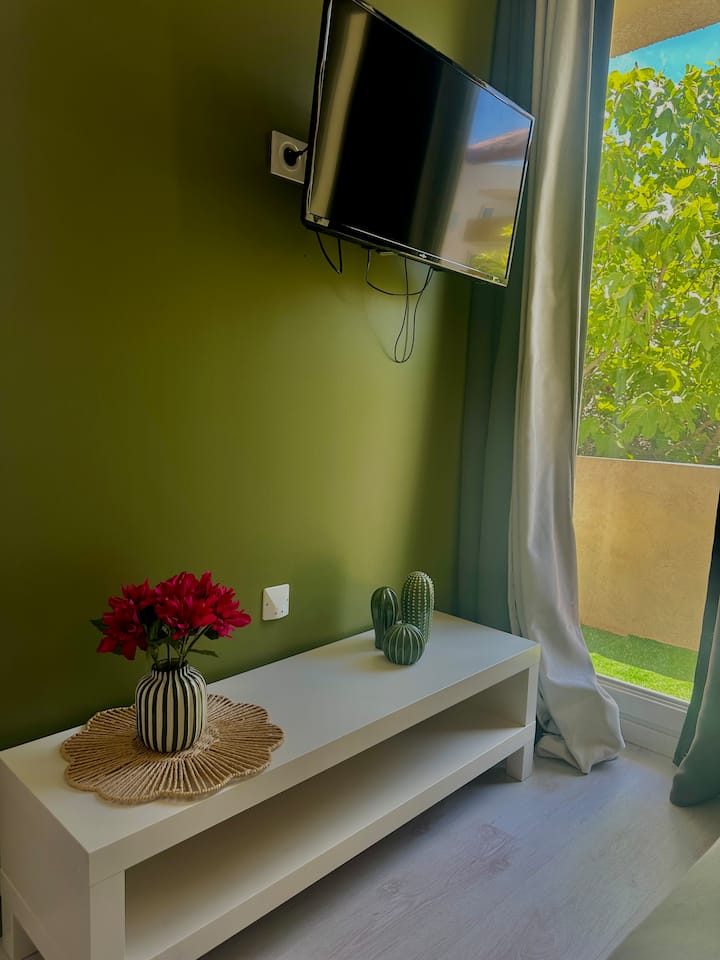 Studio Le Petit Savoyard/parking Privé/climatisé - Chambéry