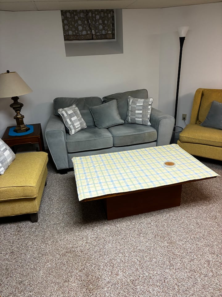 Large Garden Level Studio Near Boston College - Newton, MA