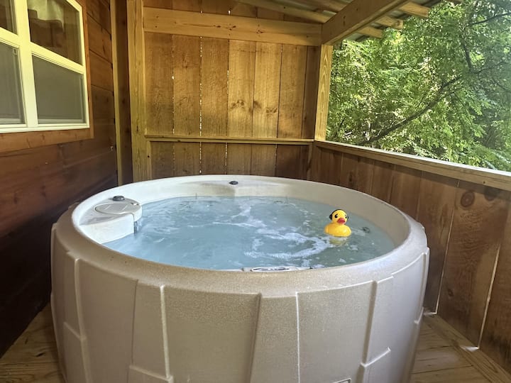 Dreamin Hollow: Your Peaceful Asheville Hideaway - North Carolina