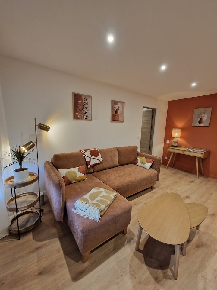 ÉCrin Rénové 50m² - Calme Sur Cour - Annecy-le-Vieux