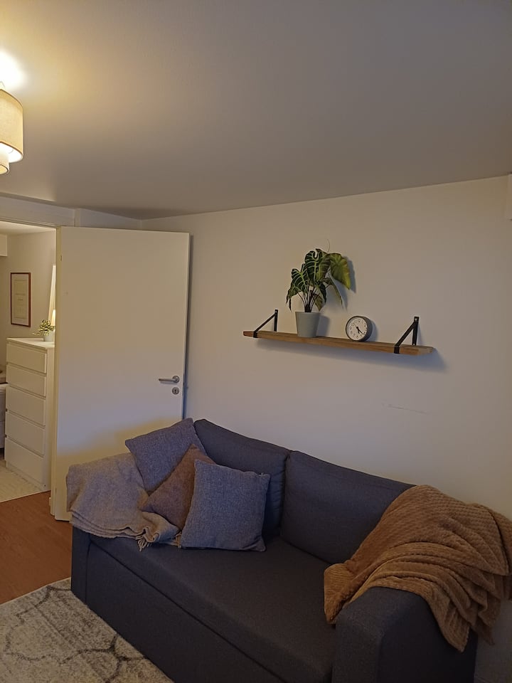Gästlägenhet Med Parkering Och Nära Läge - Skövde