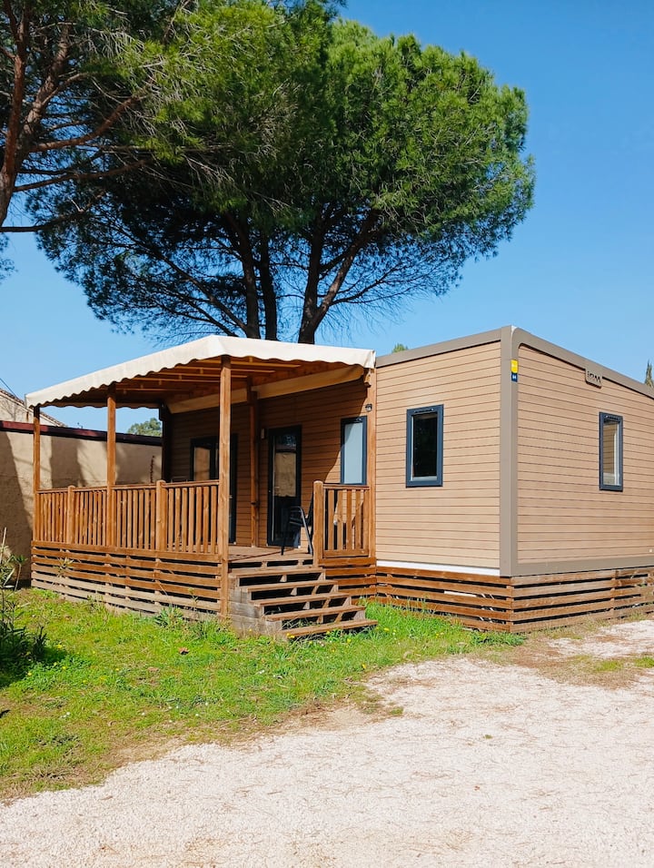 Sous Les Pins - La Crau