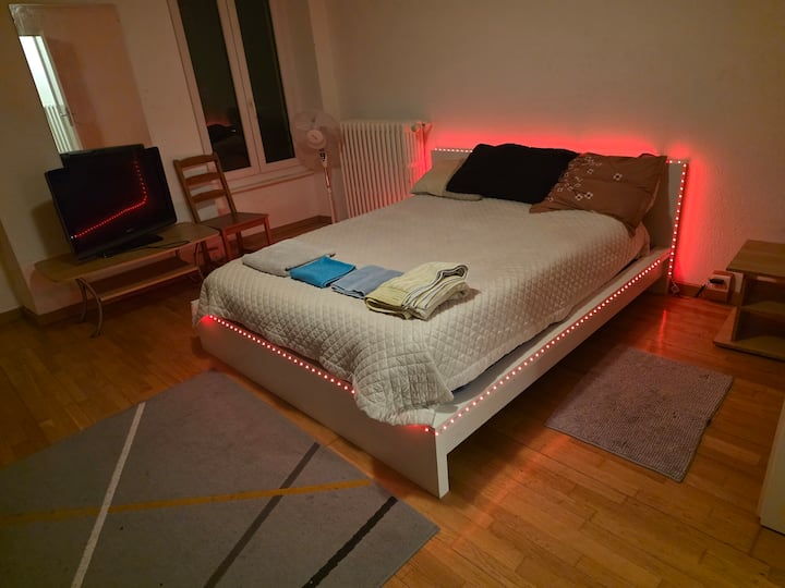 Gran Apartamento En Centro Laussane - Bussigny