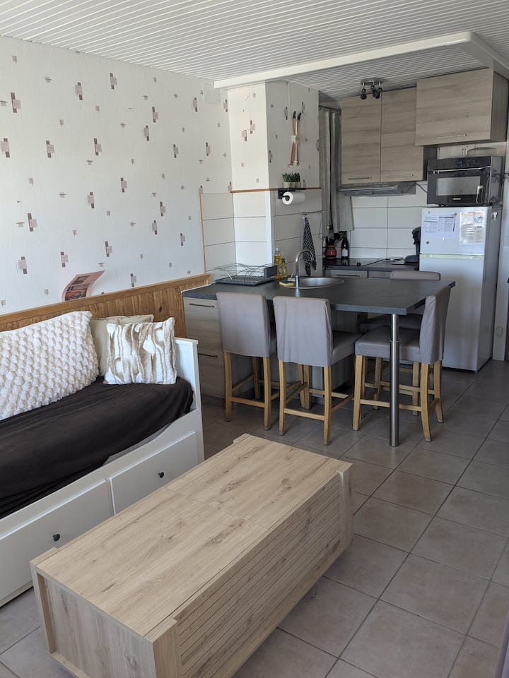 Appartement Pied Des Pistes Vue Imprenable - Les Angles