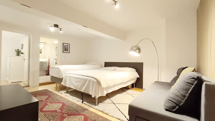 Ebbells Gate Apartment+central Station - Oslo
