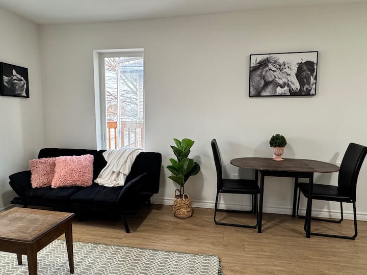 1 Bd Central Apartment Near Uwo/lhsc - London, ON, Canada