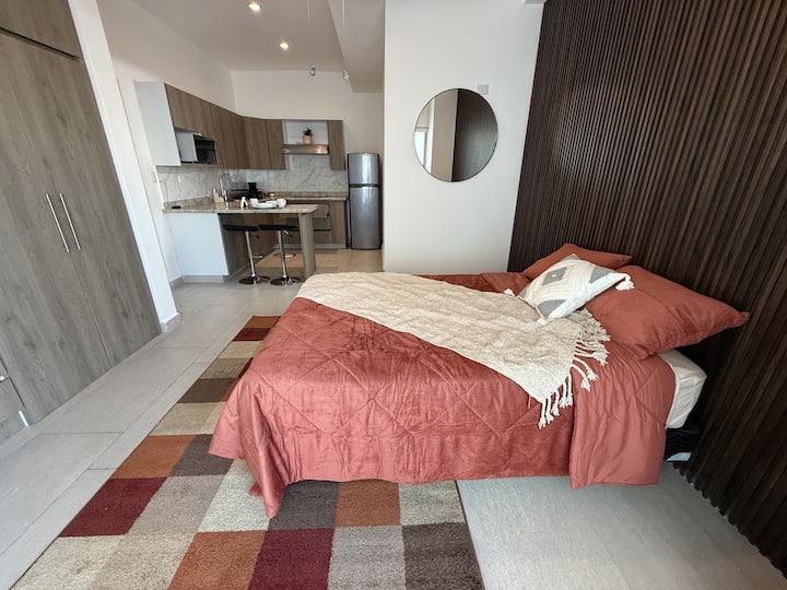 Hermoso Loft En Zona Céntrica Y Segura - Monterrey