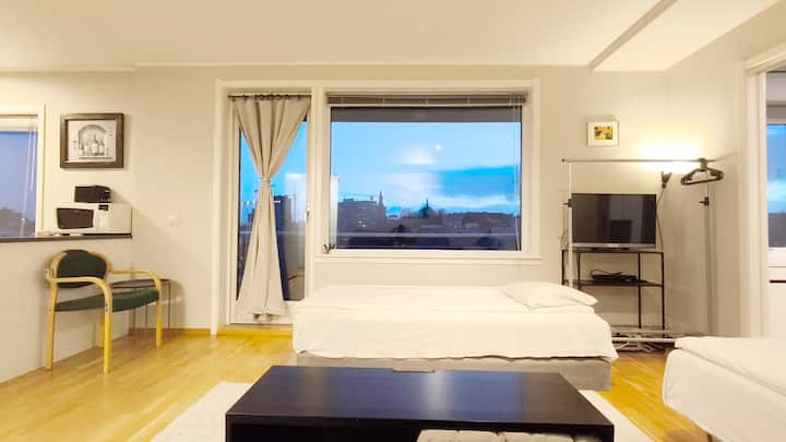 Møllergata  Apartment - Oslo