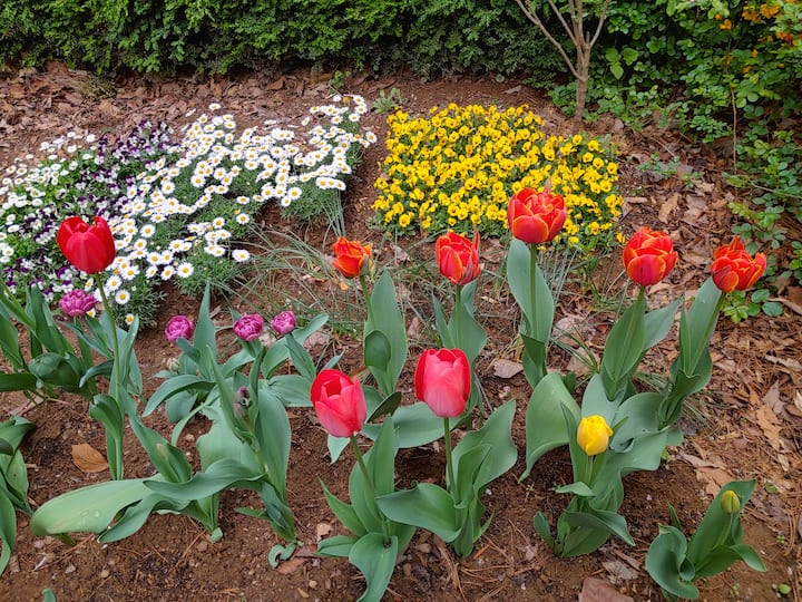 [ 달마을 스테이 102] 
숲조망/편안하고 조용한 주택 - Seoul