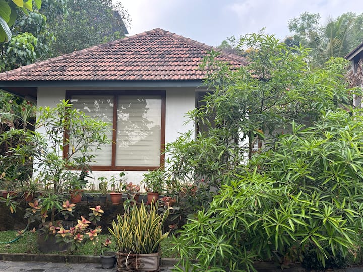 Bluewoods Homestay - Cozy Nature Stay - Kochi, India