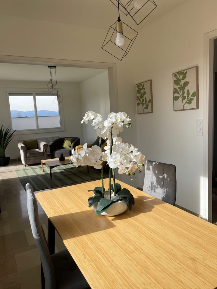 Maison Prestige.vue Chaîne Des Puys - Cournon-d'Auvergne