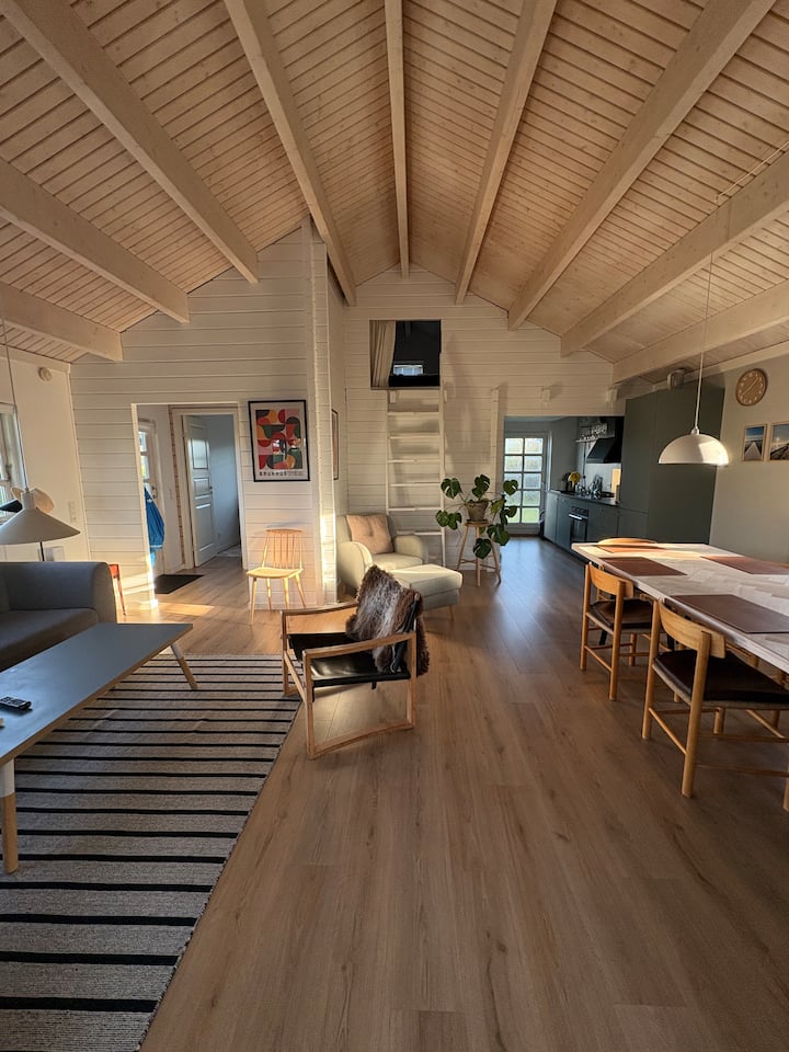 The Strandlyst House - Odense