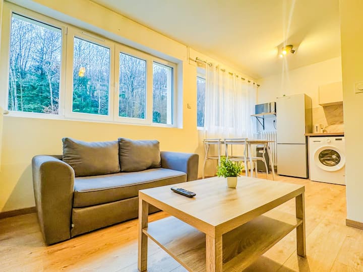 2 Appartements Modernes à Royat - Royat