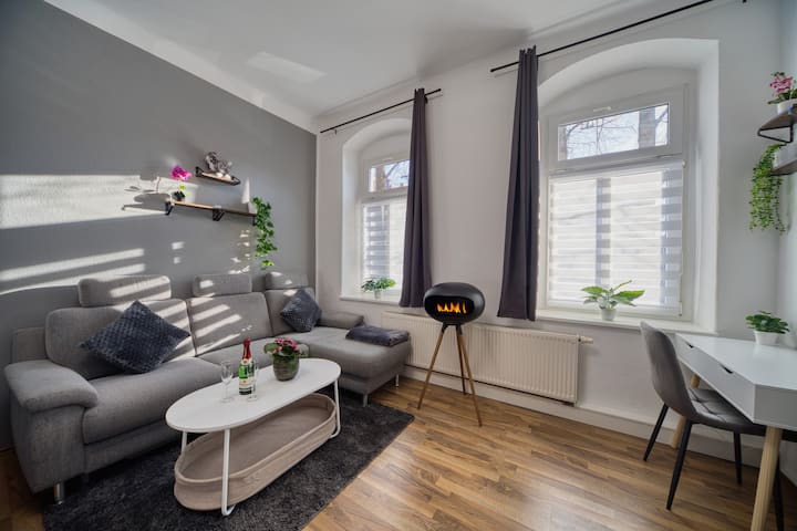 Dresdenstay Blasewitz 3 Bedroom Fireplace Ps4 - Dresde