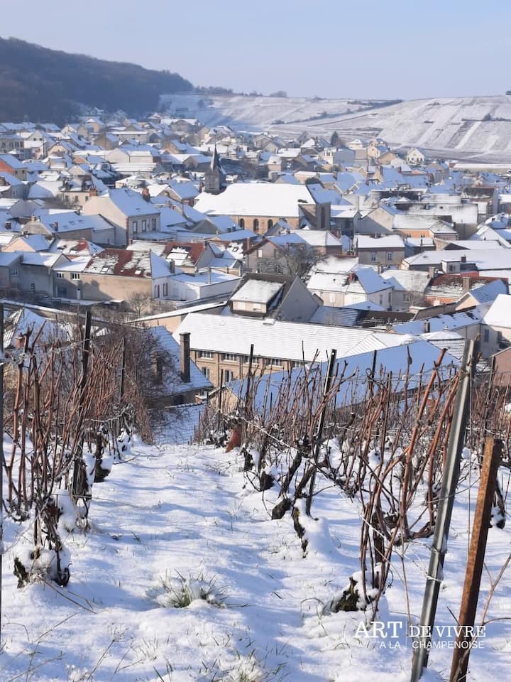 Maison Au Cœur Du Vignoble Champenois - Zig Zag Parc