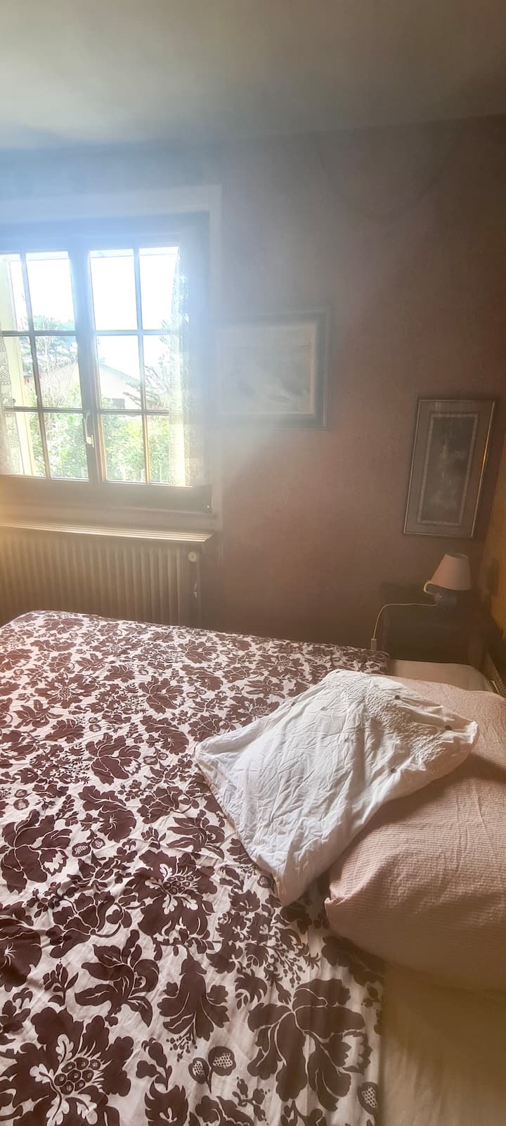 Chambrette Privée Vue Jardin Dans Maison Partagée - Geneva