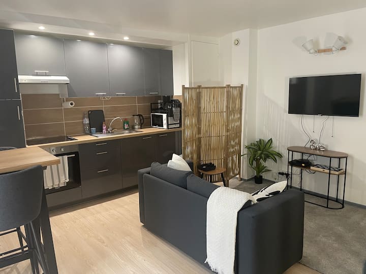 Appartement Nature à Reims - Reims