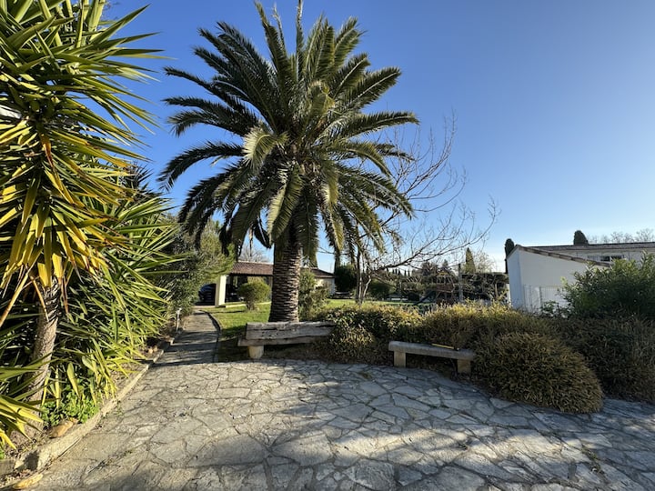 Superbe Villa Piscine Chauffée Grand Parc Arboré - Arles