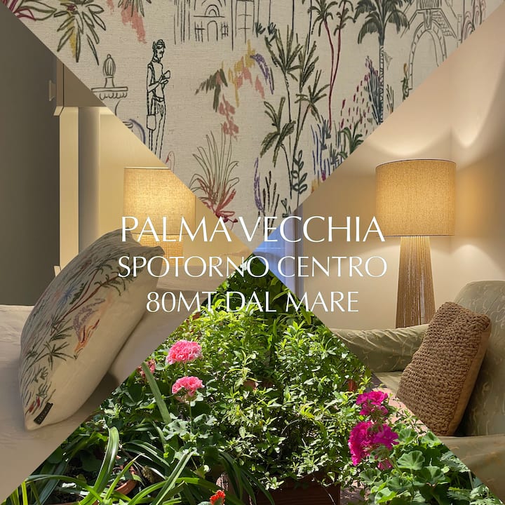 Palma Vecchia In Centro A Spotorno 80mt Dal Mare - Noli