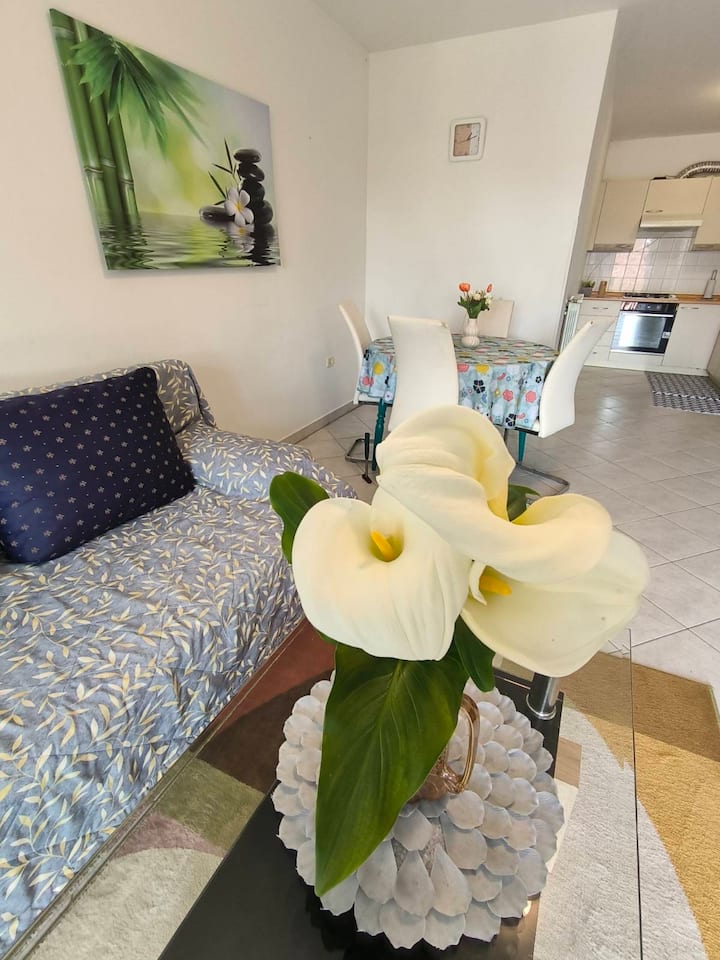 Kala Apartments - Lucija