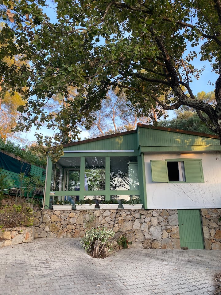 Chalet Et Mobil-home Au Domaine Du Pin De La Lègue - Roquebrune-sur-Argens