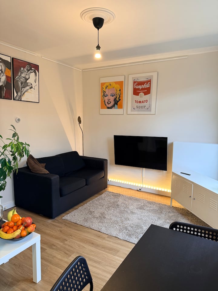 Stijlvol & Licht Appartement Vlakbij Amsterdam Cs - Zaandam