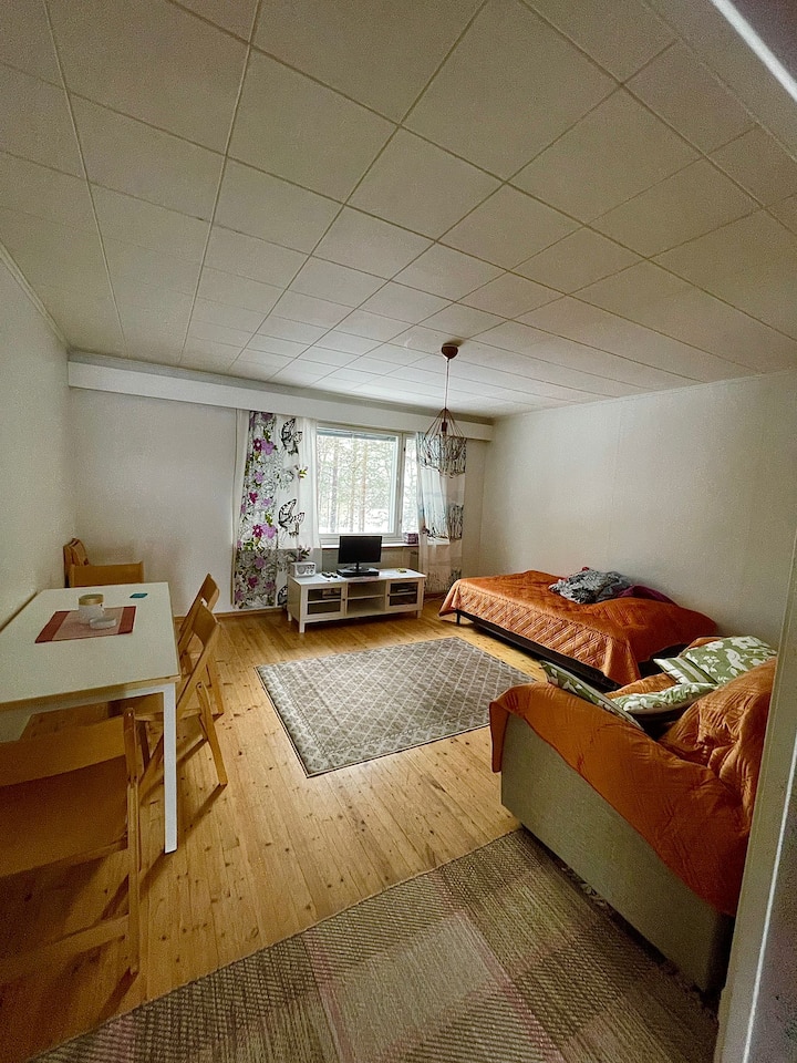 Asunto Pudasjärvellä. - Pudasjärvi