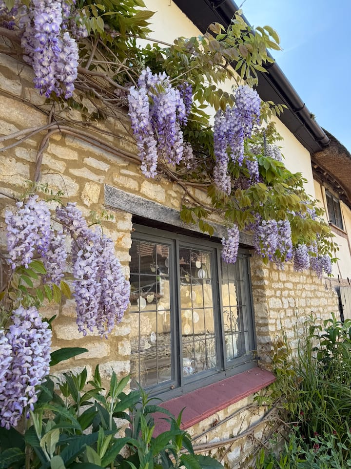 The Bee Hive - Thame