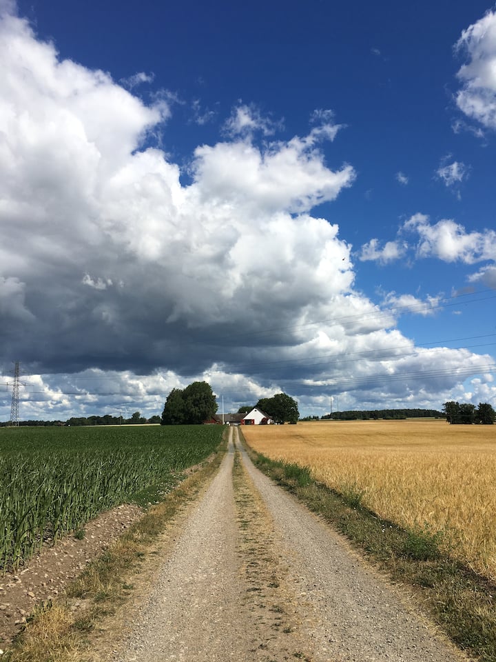 Bo På ÖSterlen I Charmig Gästlänga På Qvernelund - Tomelilla