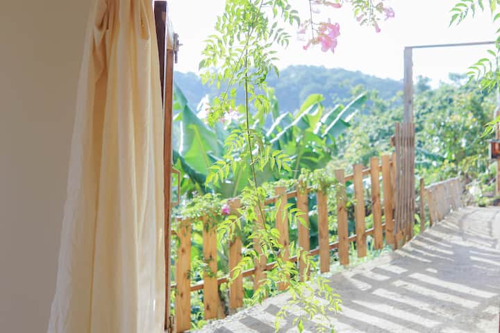 Du Dương | Pine Hill View & Garden, 2.5km To City - Dalat