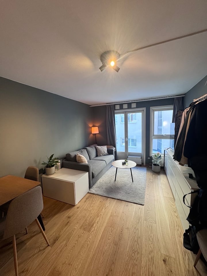 Small And Cosy Studio Apartment - Near Central - Oslo