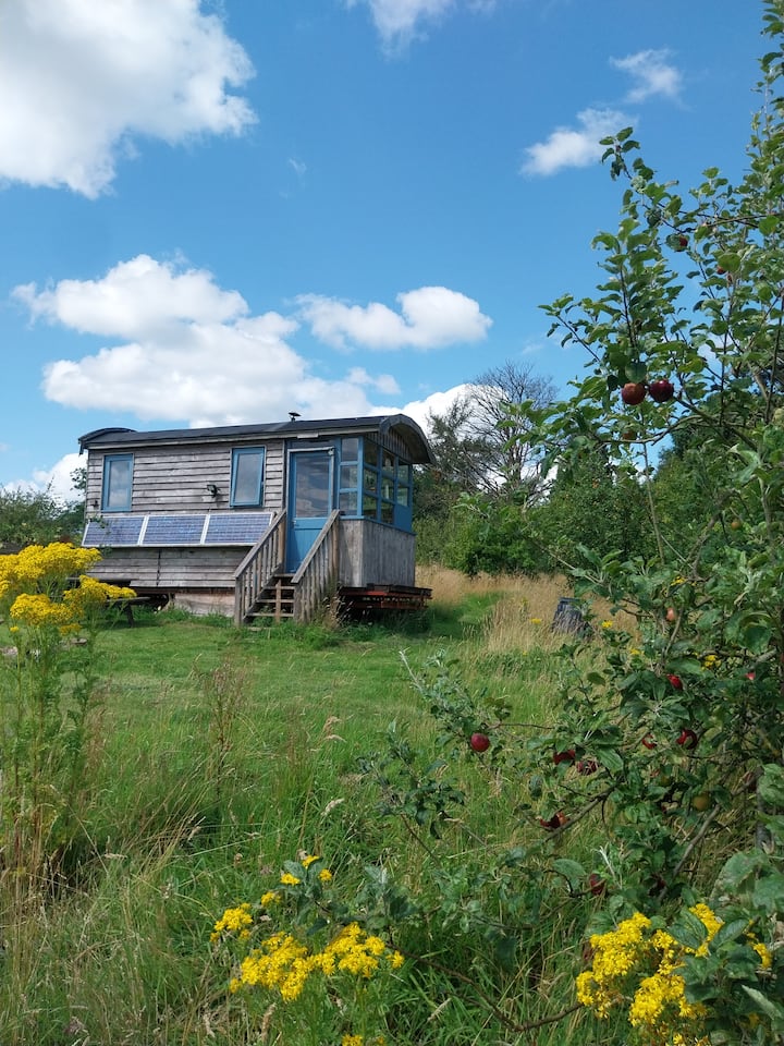 The Ash Ecopod - Uttoxeter