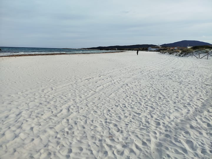 The Apricot House . Alle Porte Di San Teodoro - San Teodoro