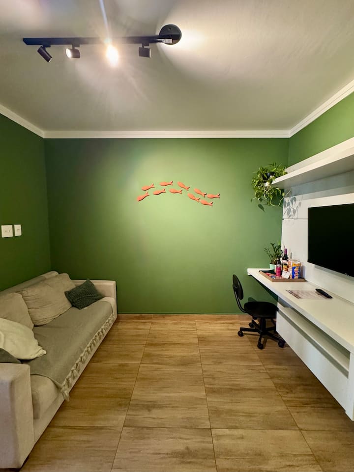 Studio No Centro De Campinas - Cinema - Apt Urucum - Campinas