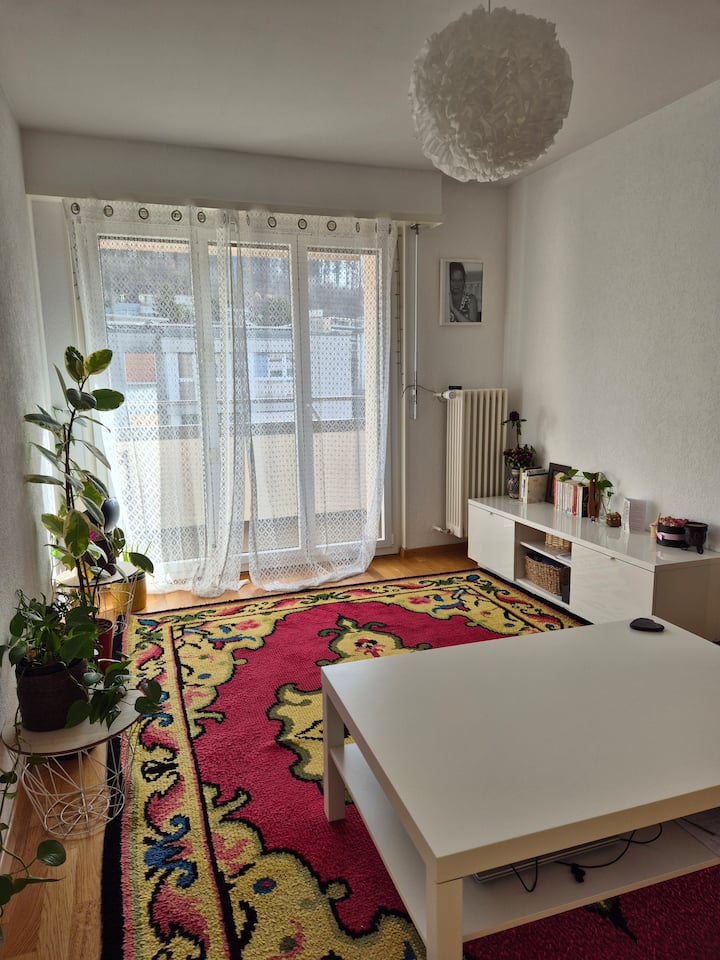 Appartement à Louer à 7 Minutes Du Centre-ville - Losanna
