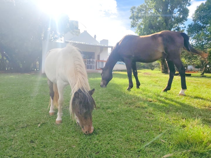 The Hideaway @The Donkey Dairy - Magaliesburg